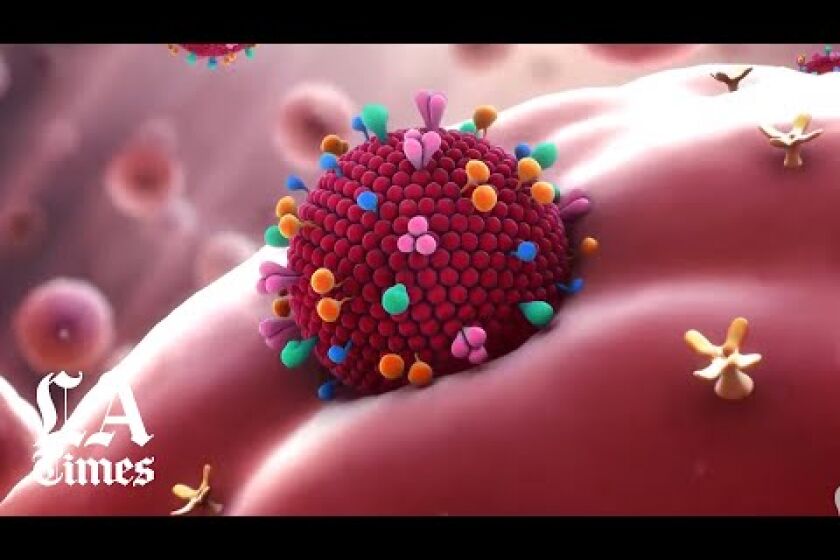The Science Behind the Coronavirus, Series II - Los Angeles Times