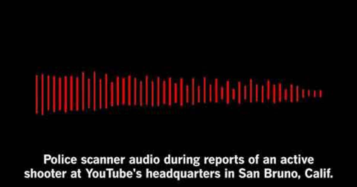 Blood, bullets and terror at YouTube headquarters after woman opens ...