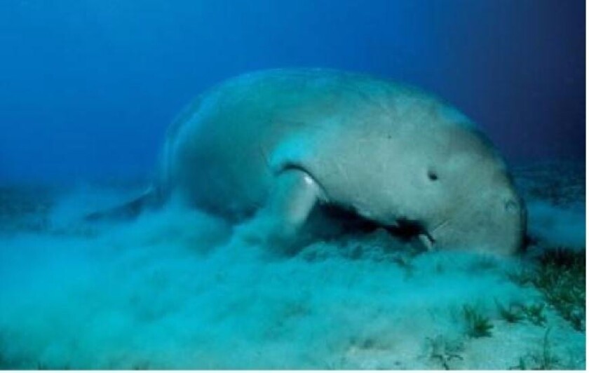 More places to see before you die: 21 new sites, from cliffs to caves ...