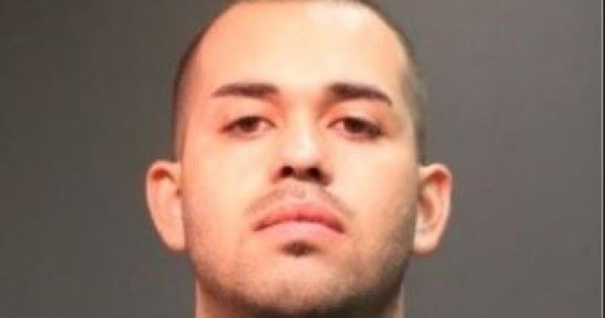 Father arrested after newborn is beaten and drugged, police say - Los ...