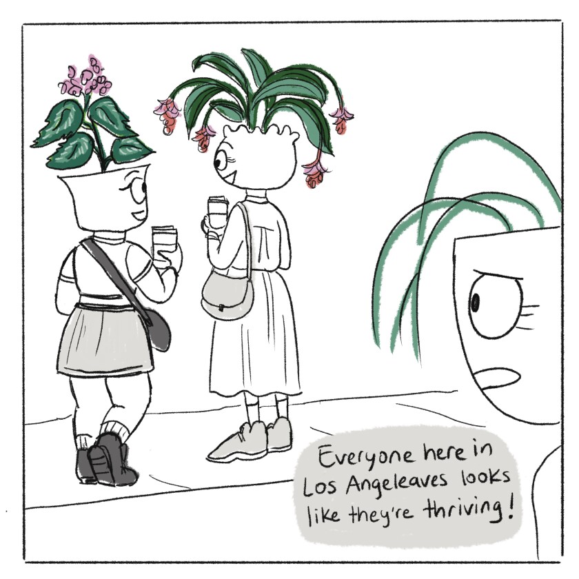 Pot Heads: Everyone else seems like they’re thriving. What’s wrong with ...