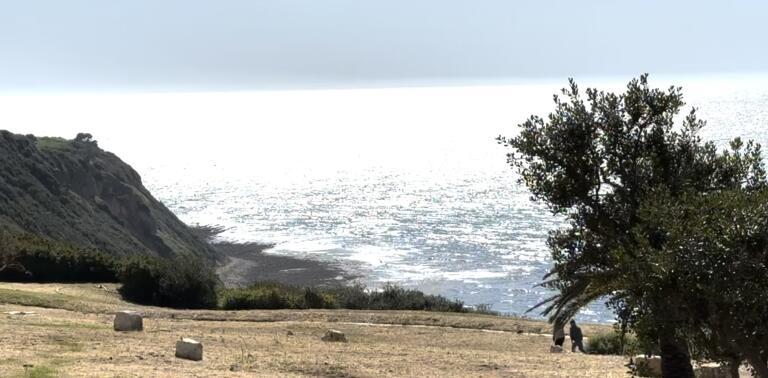 Palos Verdes quarterback Ryan Rakowski should climb to new heights ...