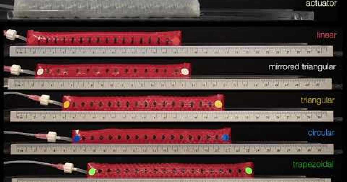 The race of the slithering robots - Los Angeles Times