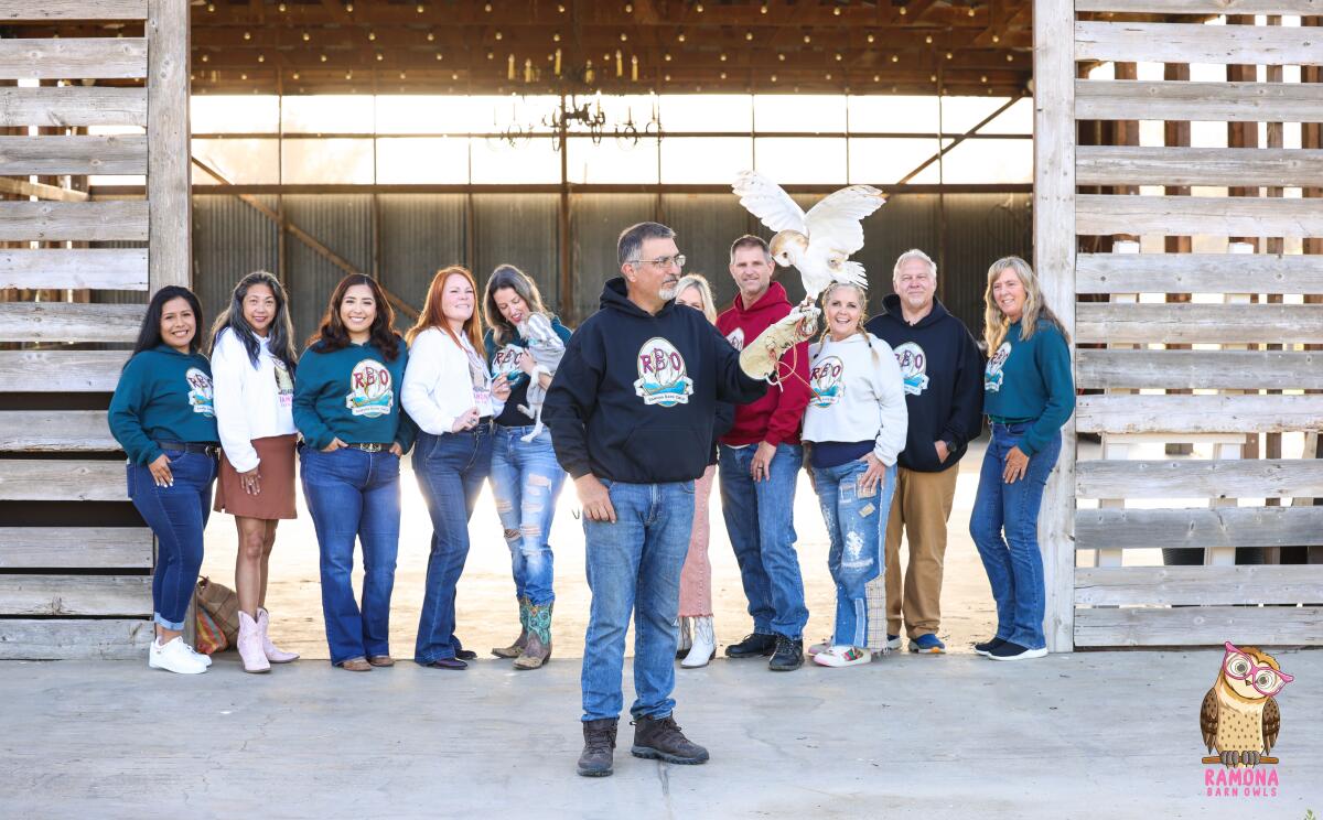 Ramona barn owl drama can be watched worldwide on livestream - Ramona ...