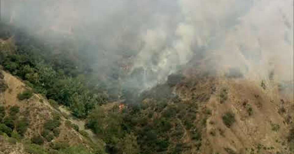 Brush fire in Burbank hills prompts mandatory evacuations of dozens of ...