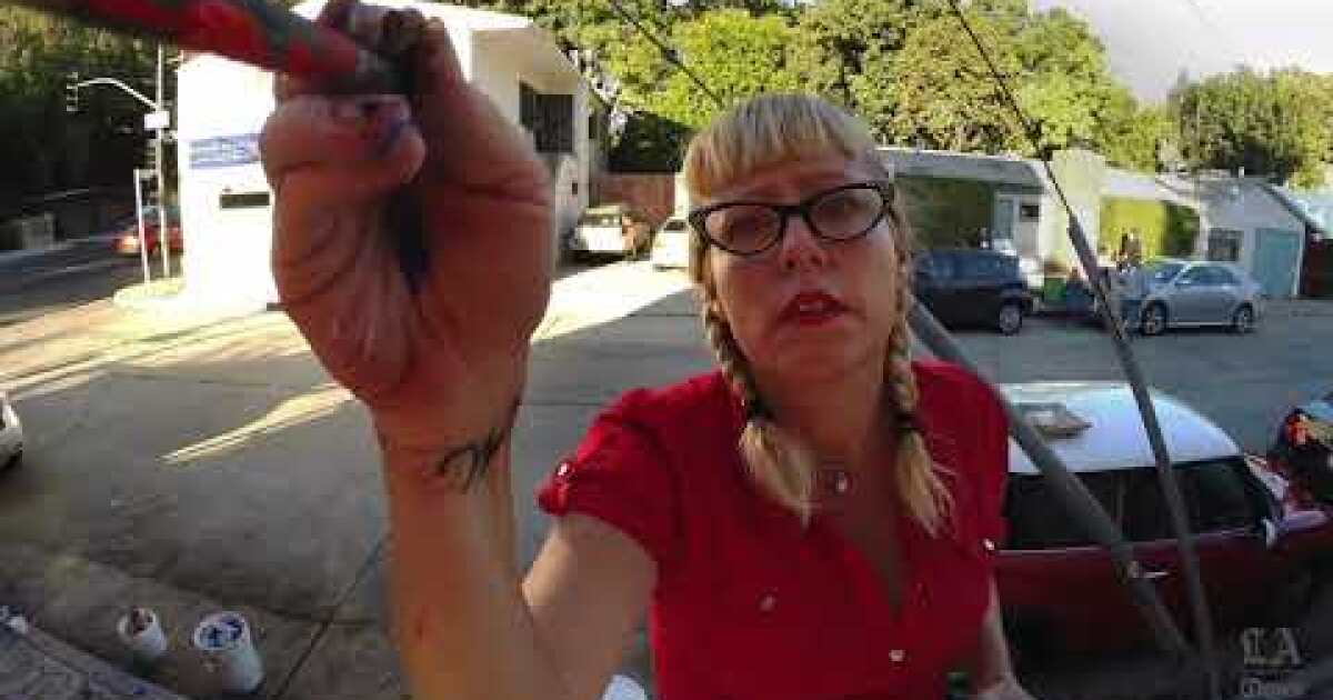 Lydia Emily Muralist - Los Angeles Times