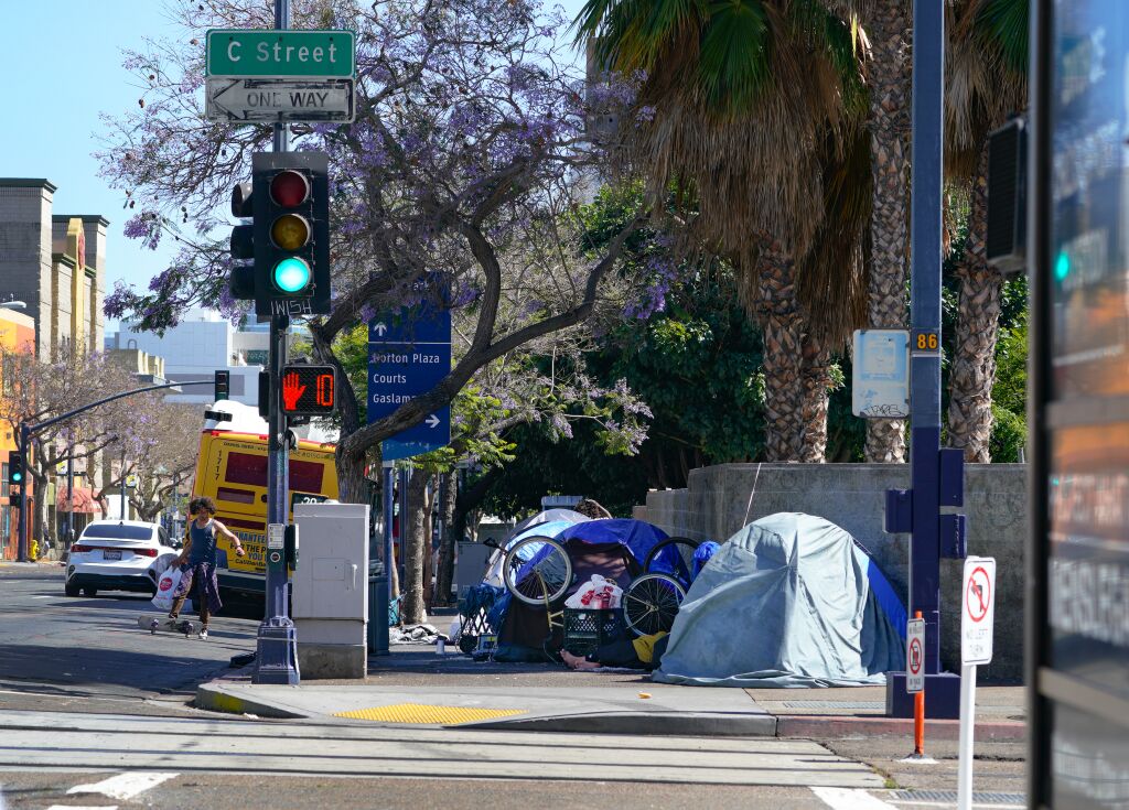 Monthly Count Sees Drop In Downtown San Diego Homeless Population The