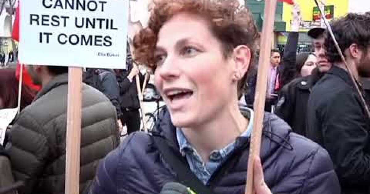 Berkeley protesters just fell into the most obvious trap imaginable ...