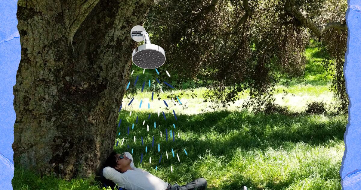 Where to 'forest bathing' in Southern California - Los Angeles Times