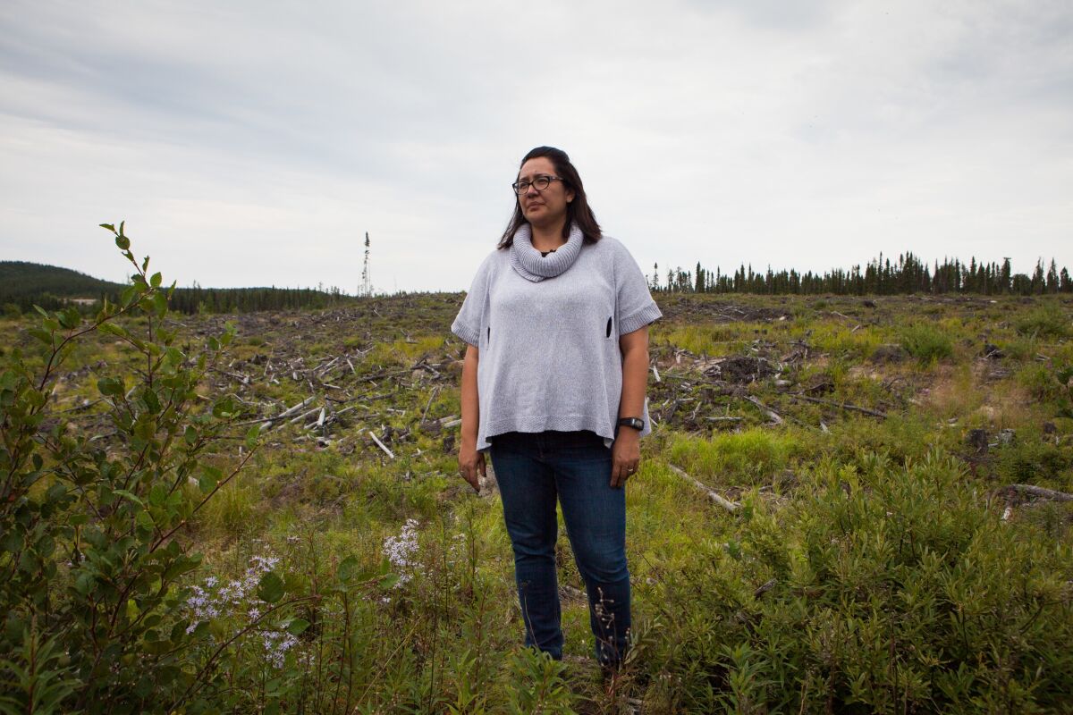 How indigenous peoples can help the world meet its climate goals - Los ...