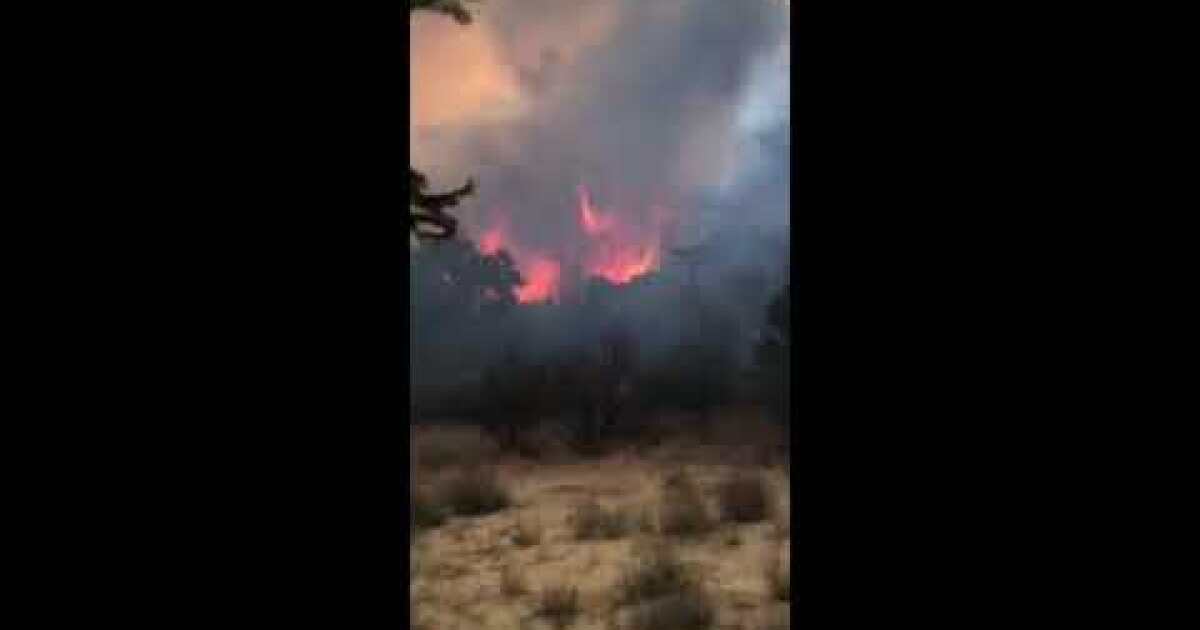Surreal scenes unfold as a fire ‘like Armageddon’ barrels toward West ...