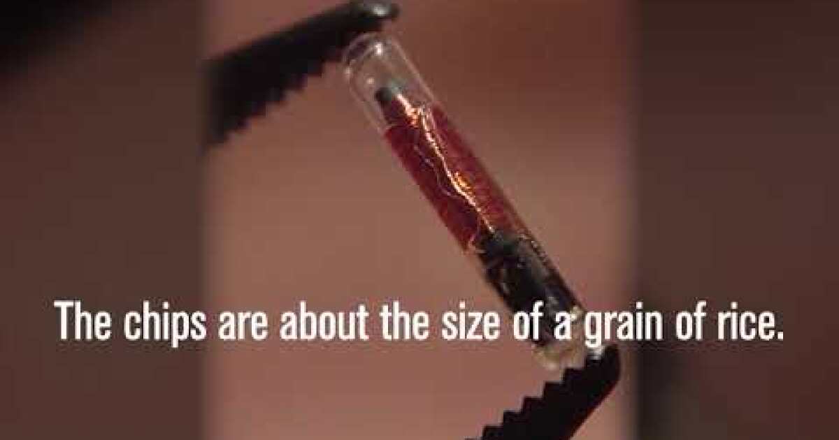 Why this company is implanting microchips in its workers - Los Angeles ...