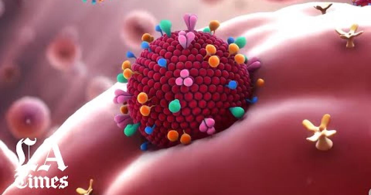 Introduction: Understanding the coronavirus - Los Angeles Times