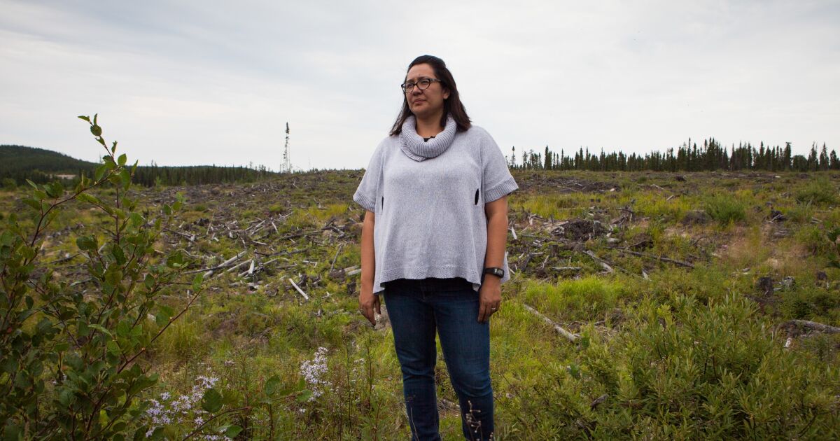 How indigenous peoples can help the world meet its climate goals - Los ...