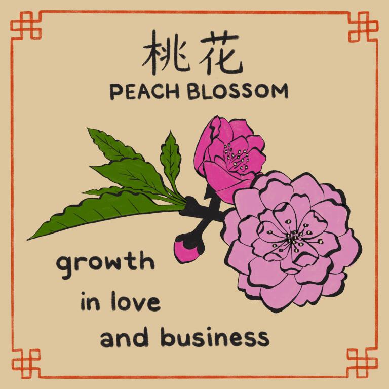 Comic: Welcome Lunar New Year with these 9 plants - Los Angeles Times