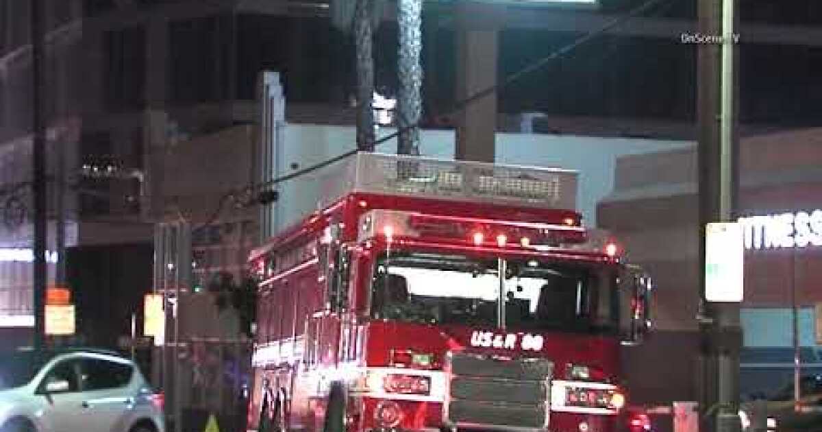 Steve-O released on bail after anti-SeaWorld crane stunt in Hollywood ...