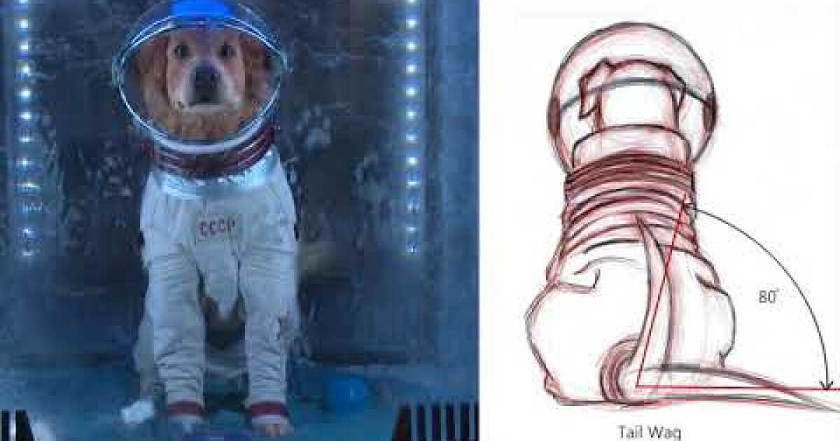 how to draw a galaxy puppy