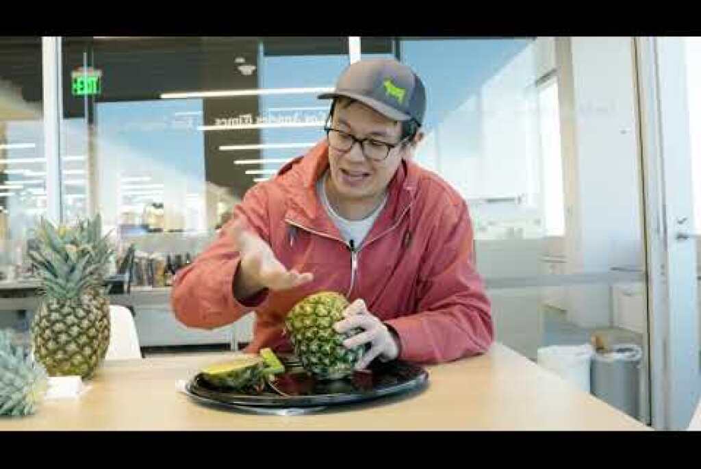 Norm Langer’s guide to the perfect pastrami sandwich - Los Angeles Times