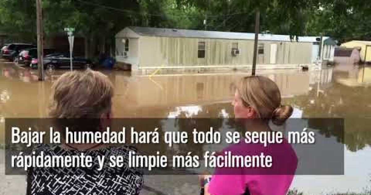 Nueve pasos para reparar una casa inundada - Los Angeles Times