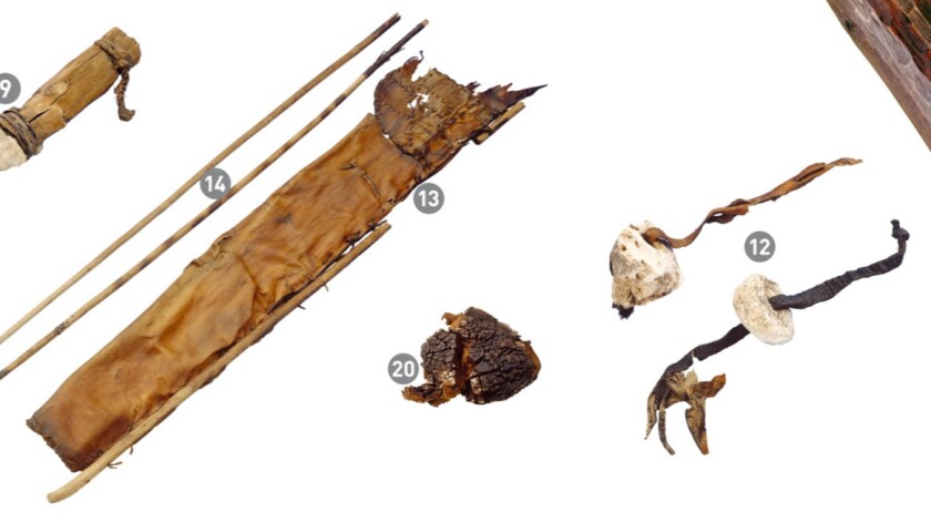 How Otzi the Iceman outfitted himself: Fur from brown bears and leather ...