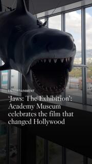 Inside the Academy Museum’s new 'Jaws' 50th anniversary exhibit - Los ...