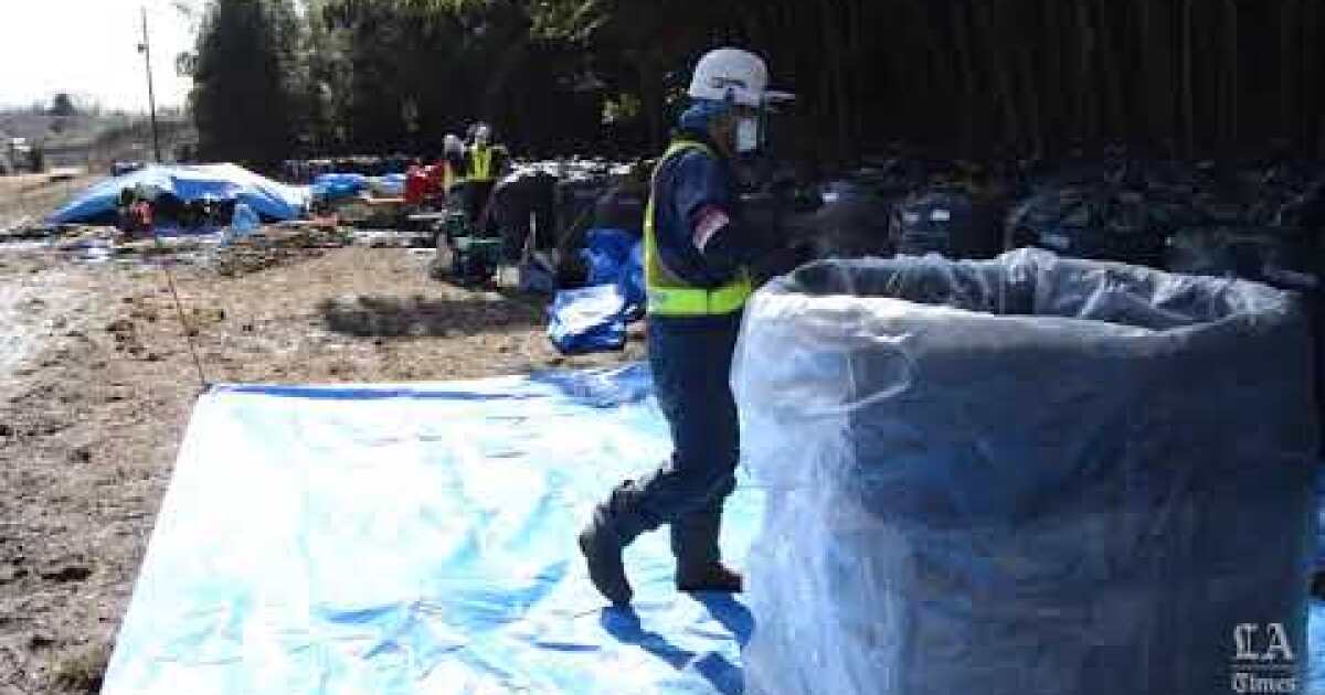 After 4 years, Fukushima nuclear cleanup remains daunting, vast - Los ...