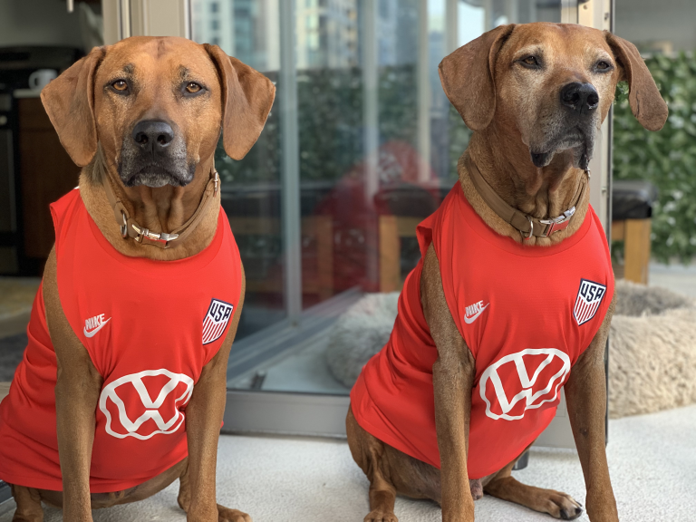 USMNT coach Anthony Hudson shares passion for helping dogs - Los ...