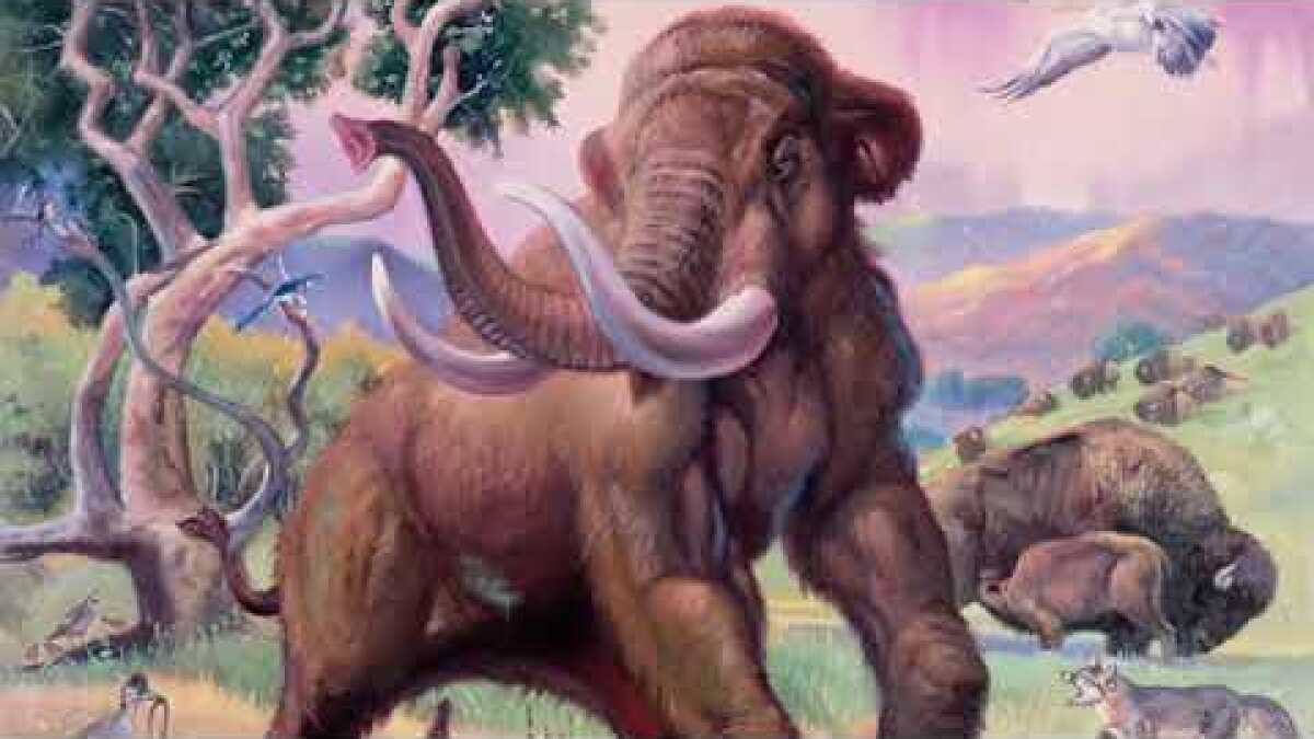 mastodon anima
