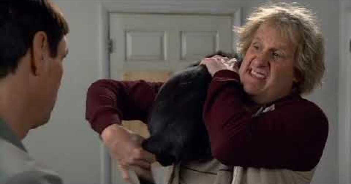 Trailer: 'Dumb and Dumber To' - Los Angeles Times